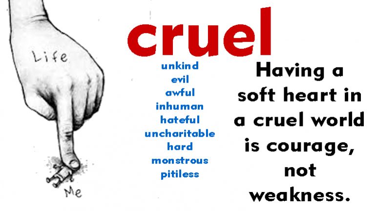 Vocabulary Cards 1 – IELTS TOEFL PTE YDS YÖKDİL iTEP