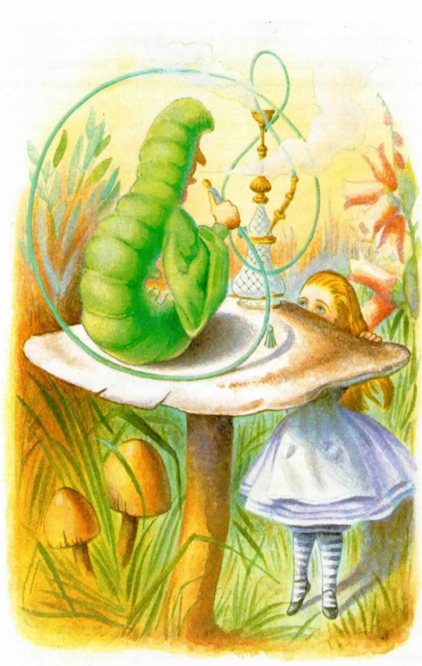ALICE IN WONDERLAND CHAPTER 5 THE CATERPILLAR – IELTS TOEFL PTE YDS ...